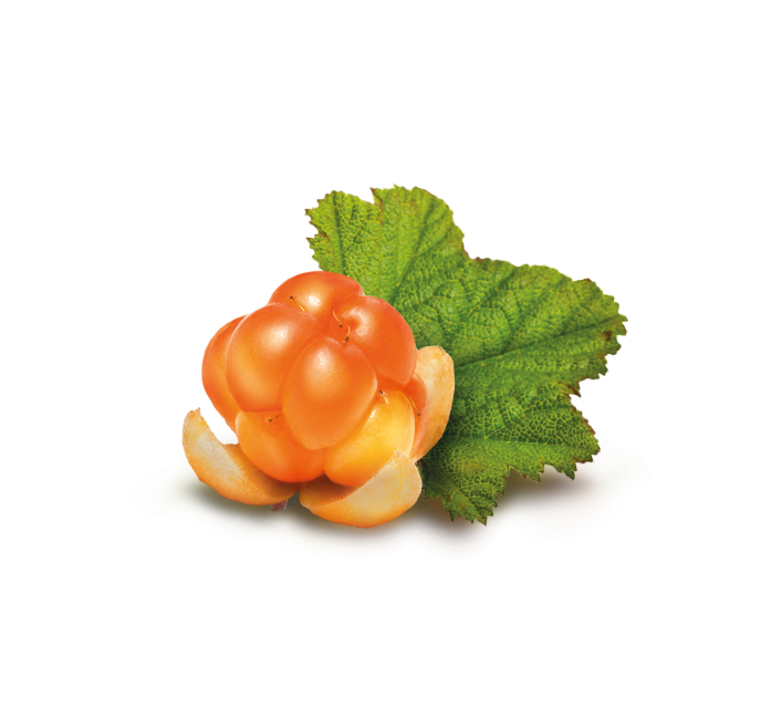 Nordic wild berries | Polarica Berries