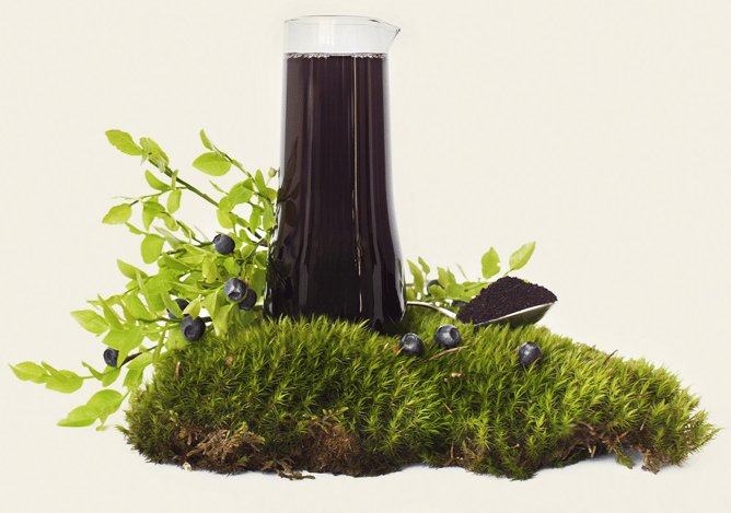 Polarica Berries | 50 years of natural treasures